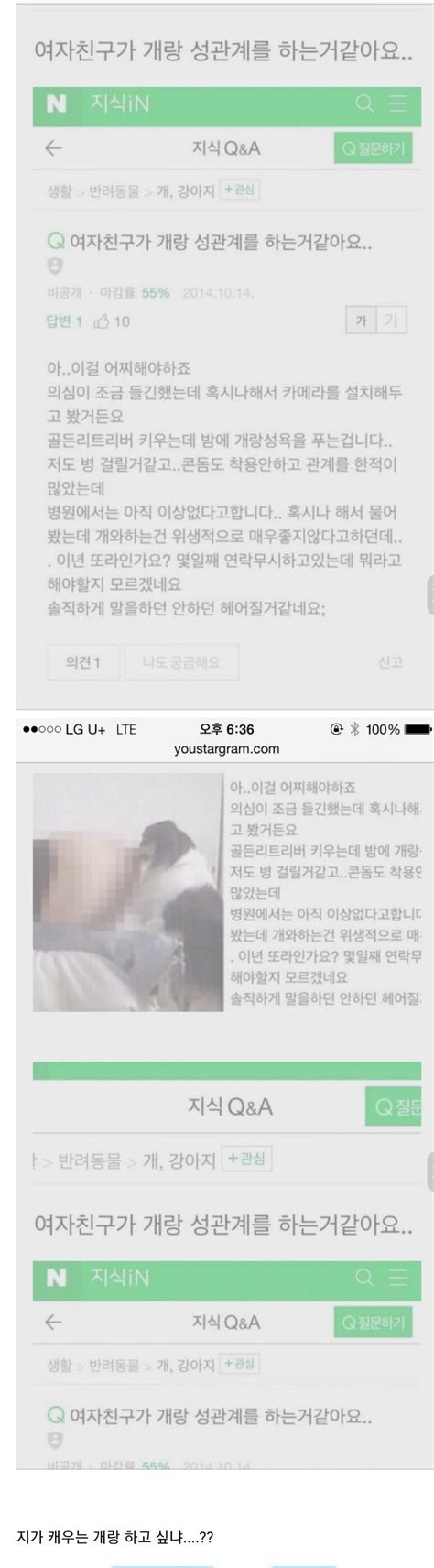 여자친구의 이상성욕  포텐 터짐 최신순 에펨코리아