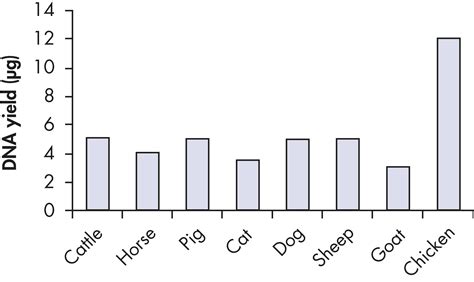 Qiagen Dna Extraction Kit