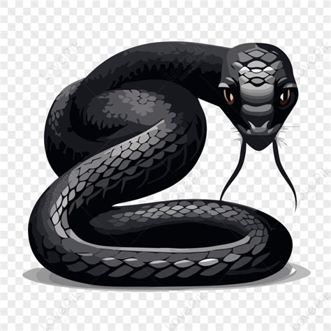 검은 뱀 벡터만화클립 아트상표 Png 일러스트 무료 다운로드 Lovepik