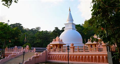 රන් කරඩු Ran Karadu By Royal Eleganze Sadu Sadu Sadu Jaya Sri Maha Bodhi Is A