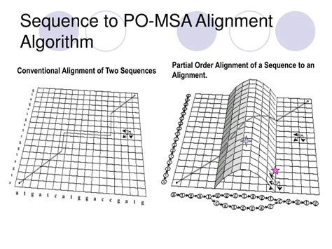 Ppt Multiple Sequence Alignment Construction Visualization And Analysis Using Partial Order