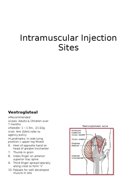 Ventrogluteal Injection Techniques Pdf