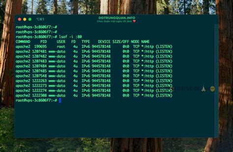 Hướng Dẫn Sử Dụng Lệnh Lsof Trong Linux Đỗ Trung Quân