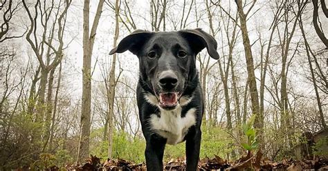 Rutabaga Album On Imgur