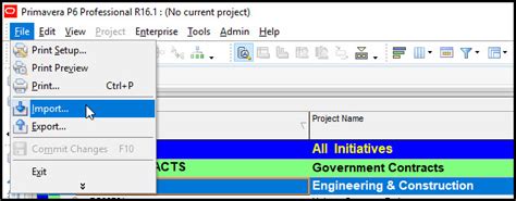 Exportingimporting Multiple Projects In A Group In Primavera P6