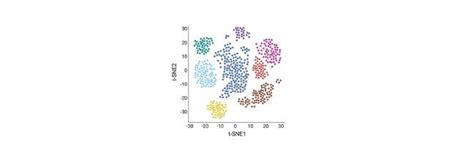 What Is Dna Polymorphism Definition Types And Meaning