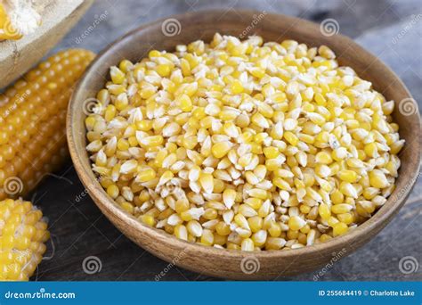 Popcorn Kernels In A Bowl Stock Image Image Of Kernels 255684419