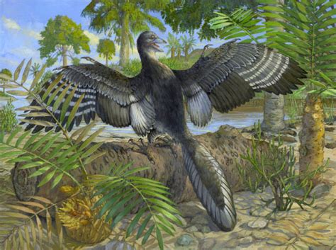 Stunning Archaeopteryx Fossil Found Intact — Scientists Are Speechless