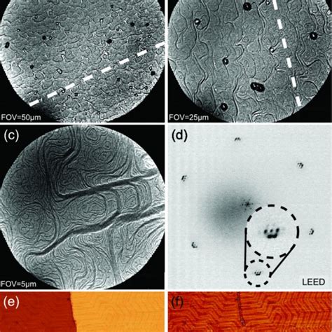 Pdf Combining Low Energy Electron Microscopy And Scanning Probe