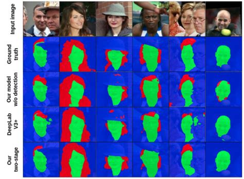 Human Hair Segmentation In The Wild Using Deep Shape Prior Human Hair
