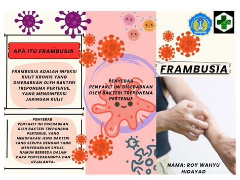 Puskesmas Perampuan Apa Itu Penyakit Frambusia