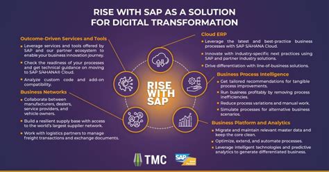 Tmc Tallymarks Consulting On Linkedin Rise With Sap • Tmc Tallymarks Consulting