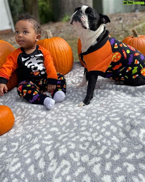 Brittany Renner Instagram The Pumpkin King 🎃 Gethu Cinema