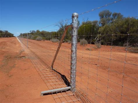 Feral Animal Exclusion Fencing Southern Wire
