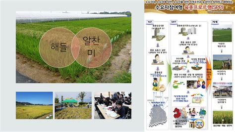 어떤 쌀을 찾으세요