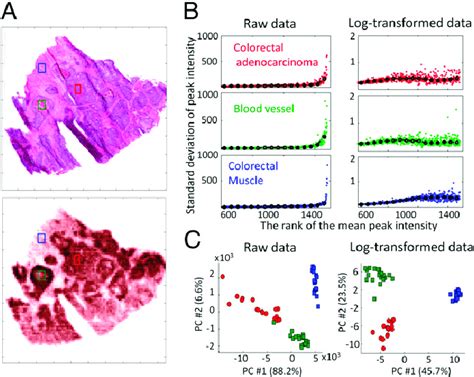 Impact Of Variance Stabilizing Normalization On Information Recovery Download Scientific