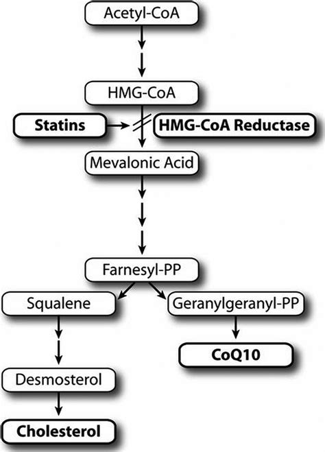 Appropriate Management Of Asymptomatic Carotid Stenosis Stroke And