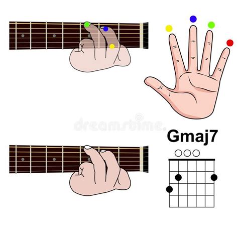 Guitar Chord Basic And Hand Position For Guitar Chord Vector Isolated
