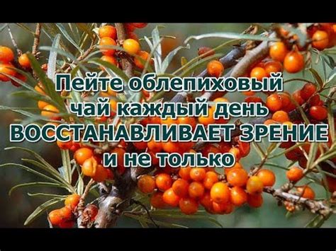 Пейте облепиховый чай каждый день - ВОССТАНАВЛИВАЕТ ЗРЕНИЕ и не только ...