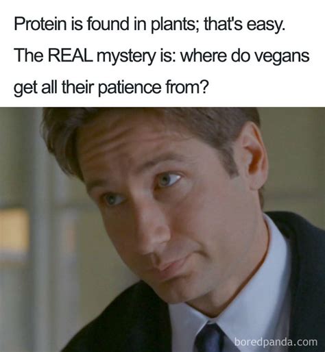 35 Hilariously Funny Vegan Memes Bored Panda