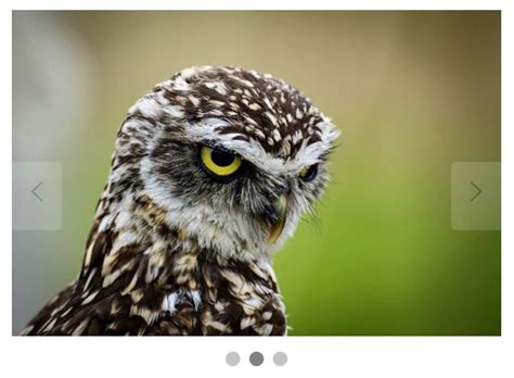 image slider in wordpress without plugins