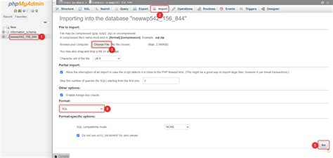 How To Import And Export The Database Devrims