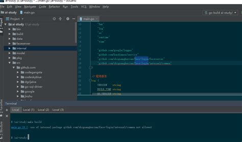 Use Of Internal Package Not Allowed Issue Shiguanghuxian Face Login Github