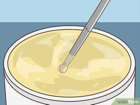 How To Sex A Corn Snake A Step By Step Guide