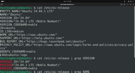 How To Check Ubuntu Linux Version