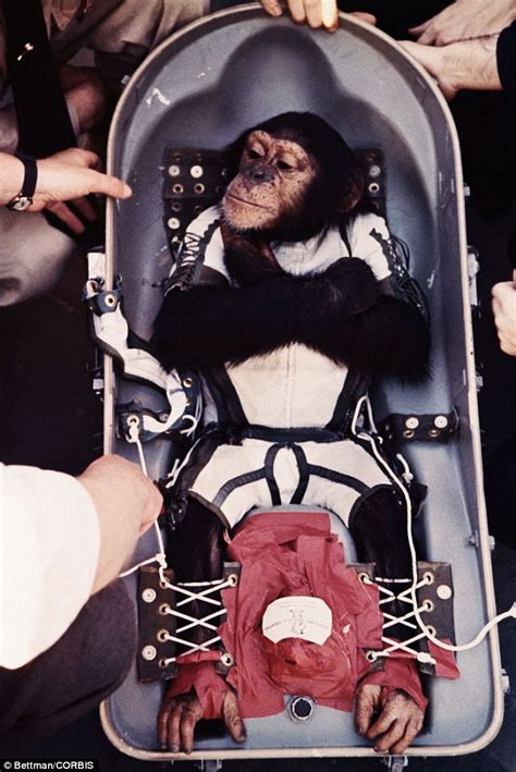 The First Stars Of The Space Race Black And White Pictures Of Nasa