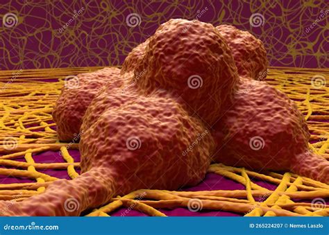 Neuron Cells In The Human Nervous System 3d Illustration Closeup View Stock Illustration