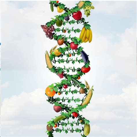 Is It Time To Introduce Genetically Modified Crops In Ireland