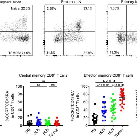 Differences Of Cd4 T Cell Subpopulations Among Peripheral Blood Lns