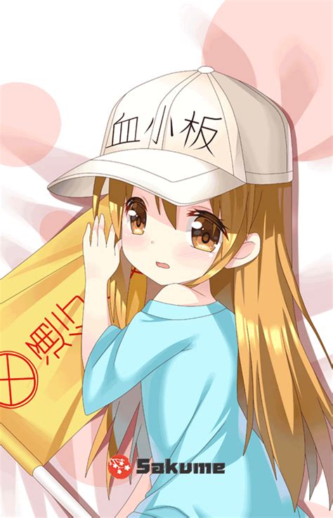 Buy Sakume Platelet Hentai Body Pillow Case Cells At Work Body Pillow