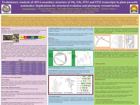 pdf “evolutionary analysis of rdna secondary structure of 18s 5 8s