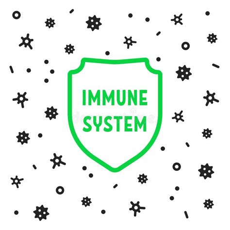 Immune System Protection Or Antivirus Shield Stock Vector