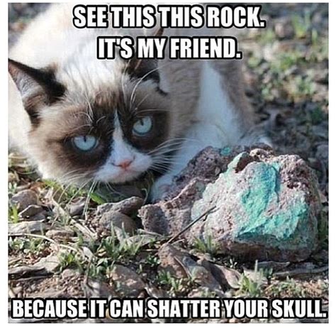 Lol Grumpy Cat Quotes Quotesgram