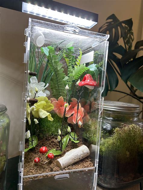 consensus on handling r jumpingspiders