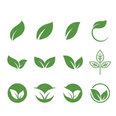 Premium Vector Eco Leaf Set Element Vector Design Template