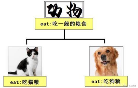 详解java多态 Csdn博客 详解java多态 Csdn博客