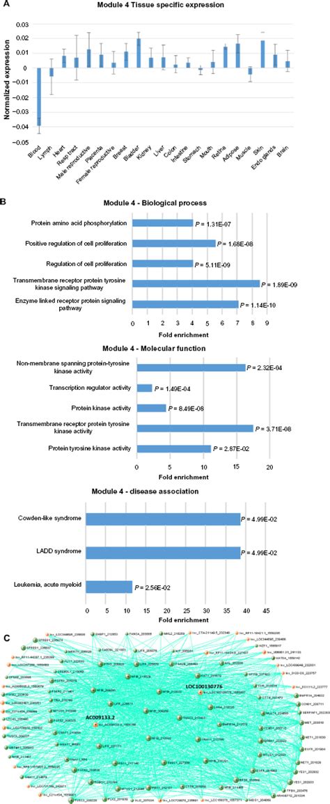 Expression Functional Term Enrichment And Network Visualization Of Download Scientific