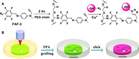 3d Site Specific Functionalization Of Peg Matrices Via Photografting