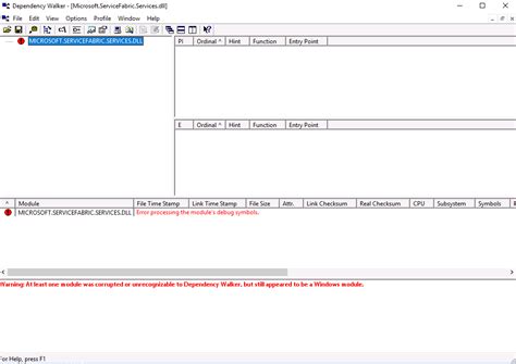 Badimageformatexception Loading Servicefabric Assemblies All X64