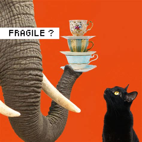 Bernardaud Official Website Limoges Porcelain Since 1863