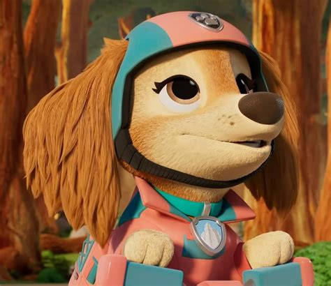 Liberty Paw Patrol Pups Paw Patrol Paw