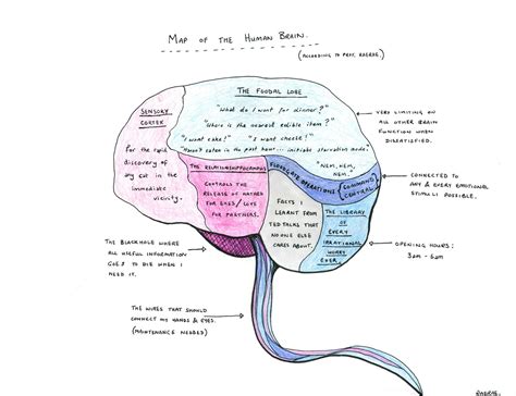 RaeRae Illustrations Observational Illustrations