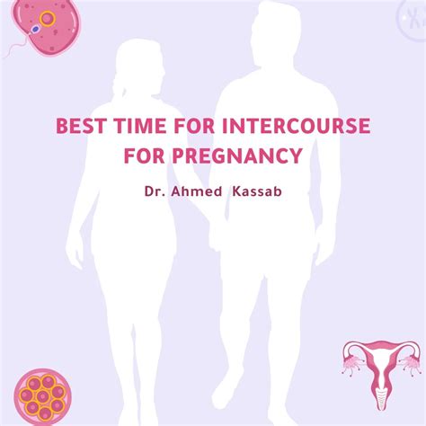 Best Time For Intercourse For Pregnancy