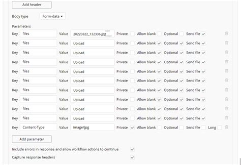 Api Connector Initialisation Plugins Bubble Forum