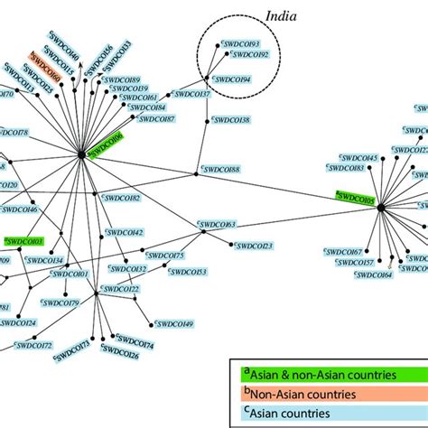 Median Joining Networks For Coi Haplotypes Worldwide The Branch