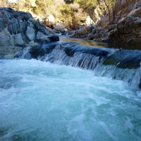 Arroyo Seco Day Use Area Camp One Parks Management Get Outdoors